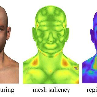 The Comparison Between Mesh Saliency Method Region Of Interest Method
