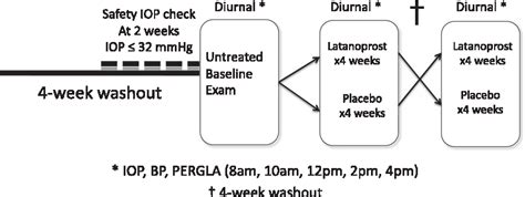 Figure 1 From The Impact Of Intraocular Pressure Reduction On Retinal