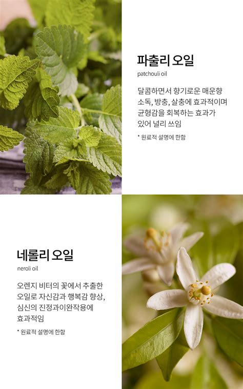 에이디스 프리미엄 천연 샌달우드 디퓨저