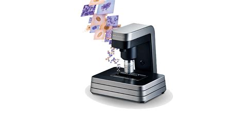 Zoetis Vetscan Imagyst Triolab No