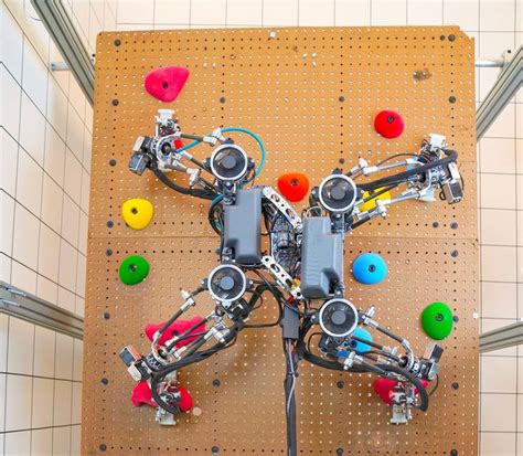 Scaler A Tough Versatile Quadruped Free Climbing Robot On A Bouldering