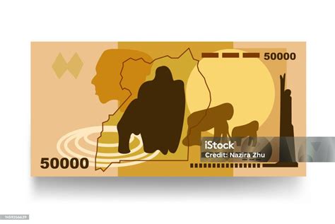 우간다 실링 벡터 그림입니다 우간다 머니 세트 번들 지폐 지폐 50000 Ush 플랫 스타일 흰색 배경에 격리 심플한 미니멀