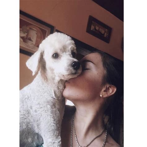 Kullanıcı Minnos Kurabiye Ekşi Sözlük