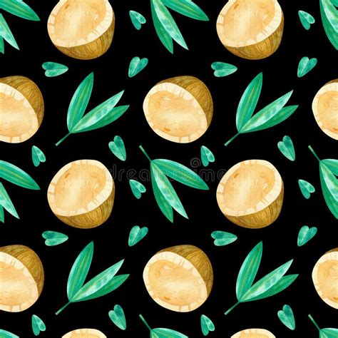 Green Coconuts Fruit Stock Illustrations 932 Green Coconuts Fruit