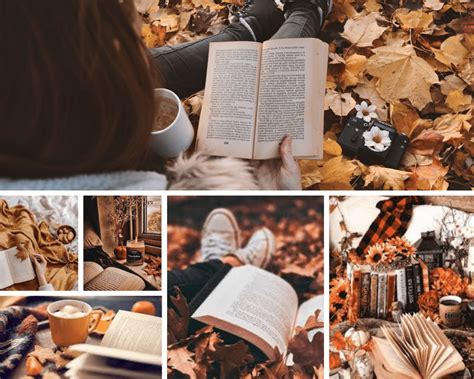 Cute Fall Aesthetic Wallpapers · 210 Backgrounds 🍁🐿️🍂🎃