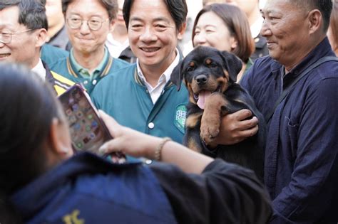 民進黨青年部 不論是貓派、狗派、還是台灣派，我們都有大大的笑容🌞 「挺毛孩！寵物市集派對」在 台中park2