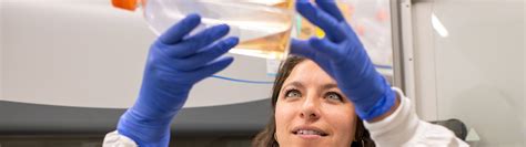 Antibody Effector Functions Dahan Lab