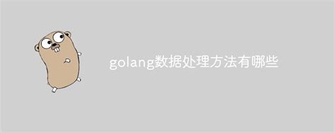 What Are The Data Processing Methods In Golang What Are The Data