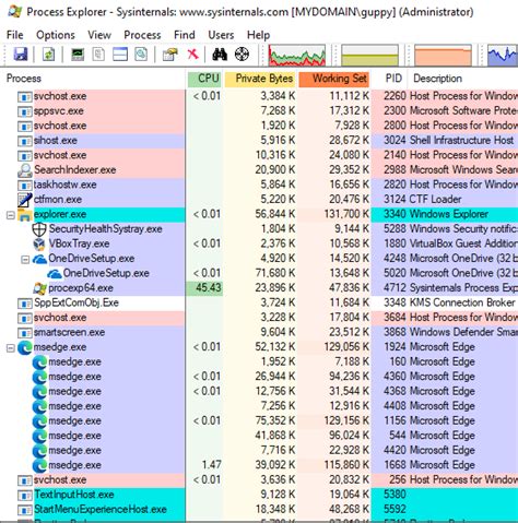 Windows Processes Anomaly Detection Guppy Security