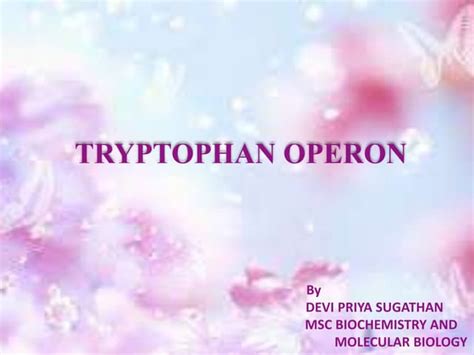 tryptophan operon pptx programming languages computing