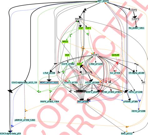 Boolean Network Of Breast Cancer Cell Lines The Aggregated Graph For