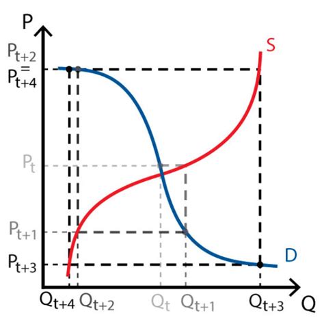 cobweb model policonomics