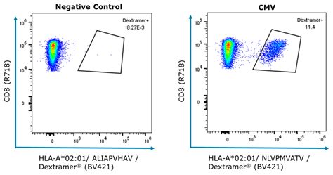 Multicolor Phenotyping Of Antigen Specific T Cells Using Immune Cell Profiling Panels Including