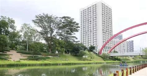 大沙河生态长廊大学城段正式开放 市民可畅游“学院之道” 腾讯新闻