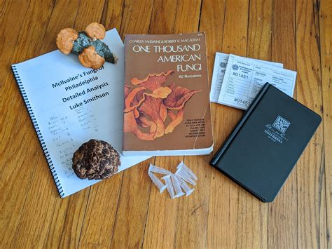 Rediscovering Philadelphias 1890s Fungi A Fundis Project — Fungal