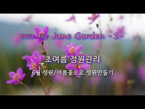 초여름 정원관리 장미관리 여름꽃관리 여름꽃 가을꽃 정원에 정식하기 봄구근 관리하기 6월 정원 힐링영상 휴팩토리 YouTube