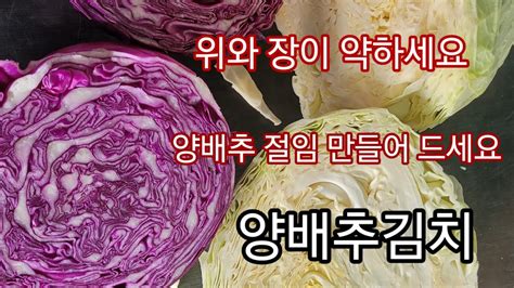 양배추절임 위 와 장이 약하신 분 꼭 만들어 드세요 유산균 이 속을 편안하게 만들어줍니다 양배추김치 Youtube