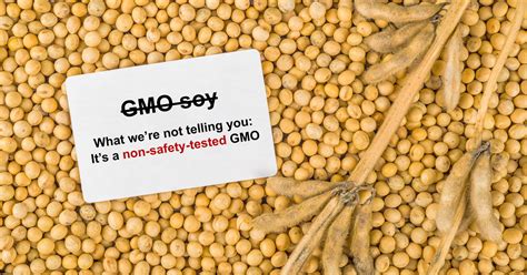 Non Safety Tested Gene Edited Soybean Approved By Brazils Gmo Regulator