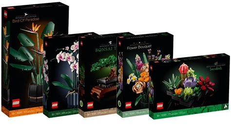 New Lego Botanicals 2024 Luise Robinia