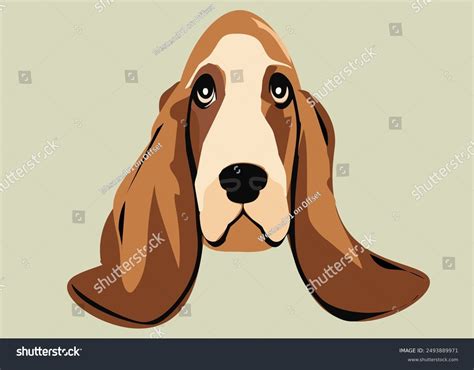 Basset Hound Dog Over Gray Background Stock Illustration 2493889971