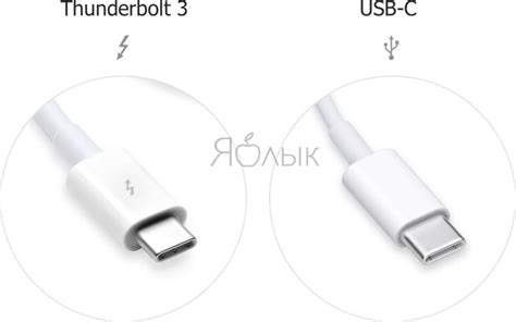 Thunderbolt и type c в чем разница