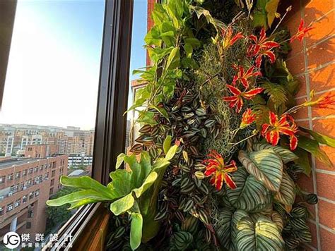 傑群設計 專業園藝景觀花藝設計 🌿 【植生牆 垂直花園 陽台空間改造 新莊社區大樓私宅】