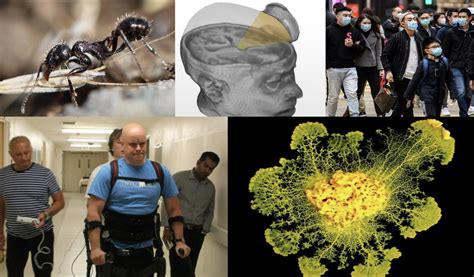 Ucla Ls Research Life Sciences