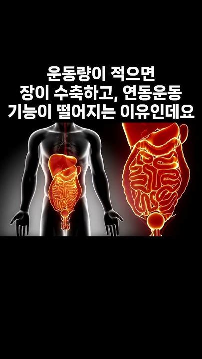 화장실 매일 가는 변비탈출 꿀팁 2가지 Youtube