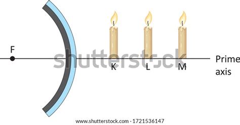 Physics Reflection Spherical Mirrors Stock Vector Royalty Free Shutterstock