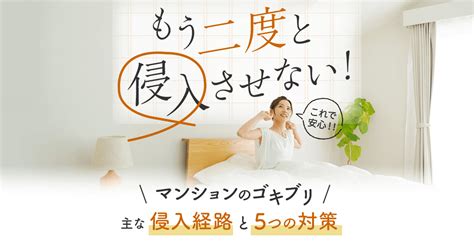 どこから来たの！？マンションでゴキブリに二度と遭遇しないための対策 害虫駆除110番