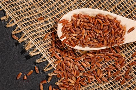 Apache Red O S E Oryza Sativa Exclusive Azienda Risicola Vercellese