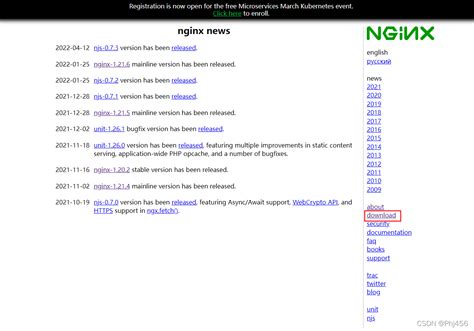 Linux系统centos7安装nginx教程（超详细）nginx1177下载 Csdn博客