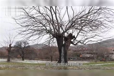 马路上惊现不明“生物”在跑，走近看后，让人哭笑不得！生物