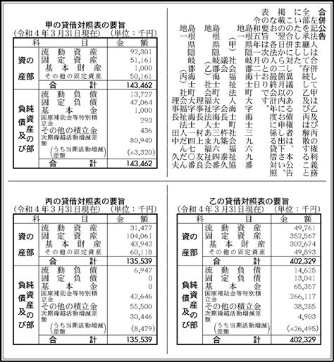社会福祉法人だんだん 丙の貸借対照表の要旨 官報決算データベース