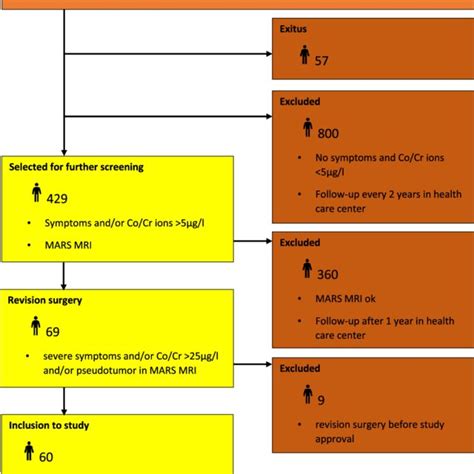 Paprosky Classification System For Acetabular Defect Download Table
