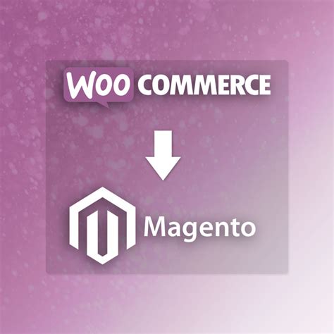 Woocommerce To Magento Migration Bay20 Software