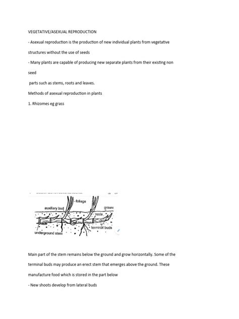 Combined Science Notes Vegetative Propagation Wps Office Pdf