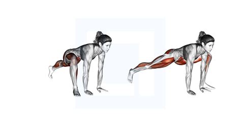 Split Squats Guide Benefits And Form