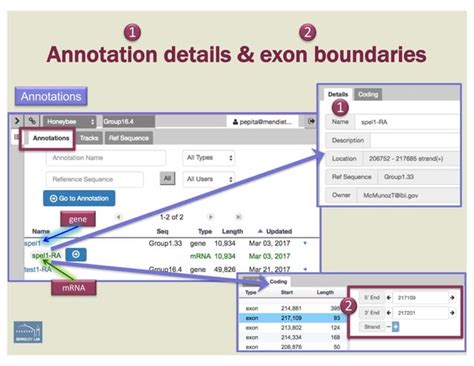 Editing Functionality Apollo Workshop Ppt