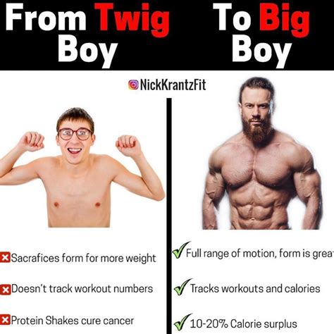 10 Rules For Building Muscles On Bulking Phase GymGuider Build