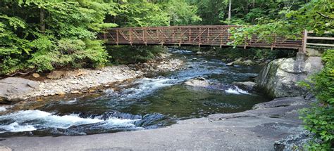 Fires Creek Rim Trail North Carolina 131 Reviews Map Alltrails