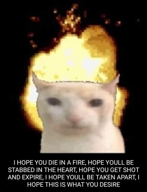 I Hope You Die In A Fire Hope Youll Be Stabbed In The Heart Hope You