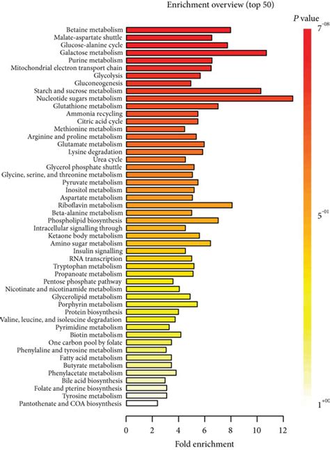 Metabolomics Analysis Of Hif1α Modified Macrophage Glycolysis