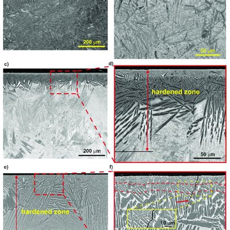 Microstructure Of The Ti 13nb 13zr Alloy After Oxygen Hardening At 700