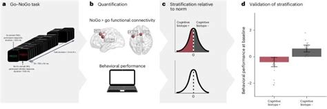 Dr Zohreh Majd On Linkedin A Cognitive Neural Circuit Biotype Of