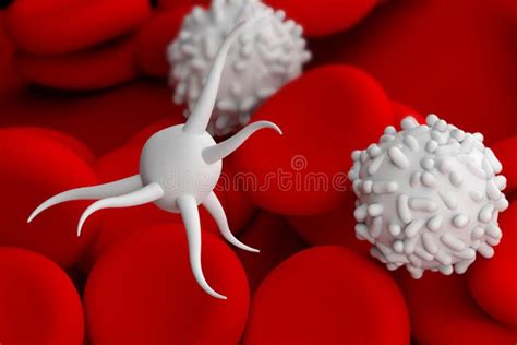 Platelet Function Stock Illustrations 51 Platelet Function Stock Illustrations Vectors
