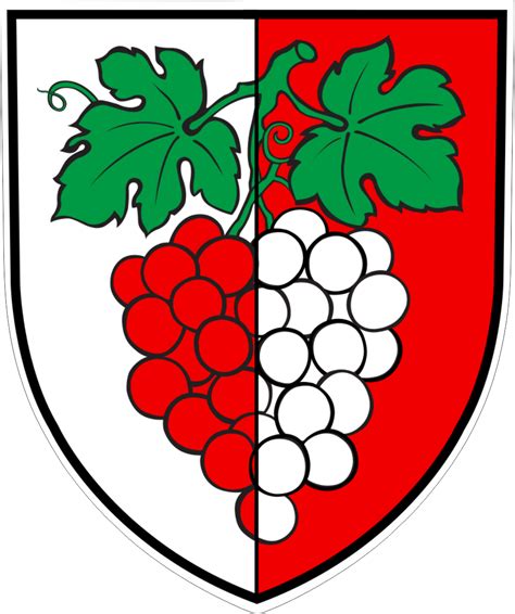 Schweizer Stadtwappen Pully