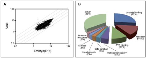Gene Expression In Lateral Ventricular Choroid Plexus Of E15 And Adult Download Scientific