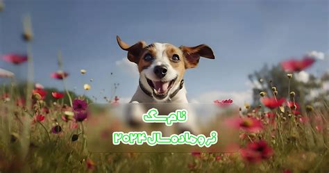 اسم سگ نر و ماده با معنی و بامزه و فارسی