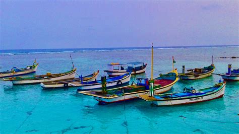 Culture Of Lakshadweep History Tradition And Famous Food